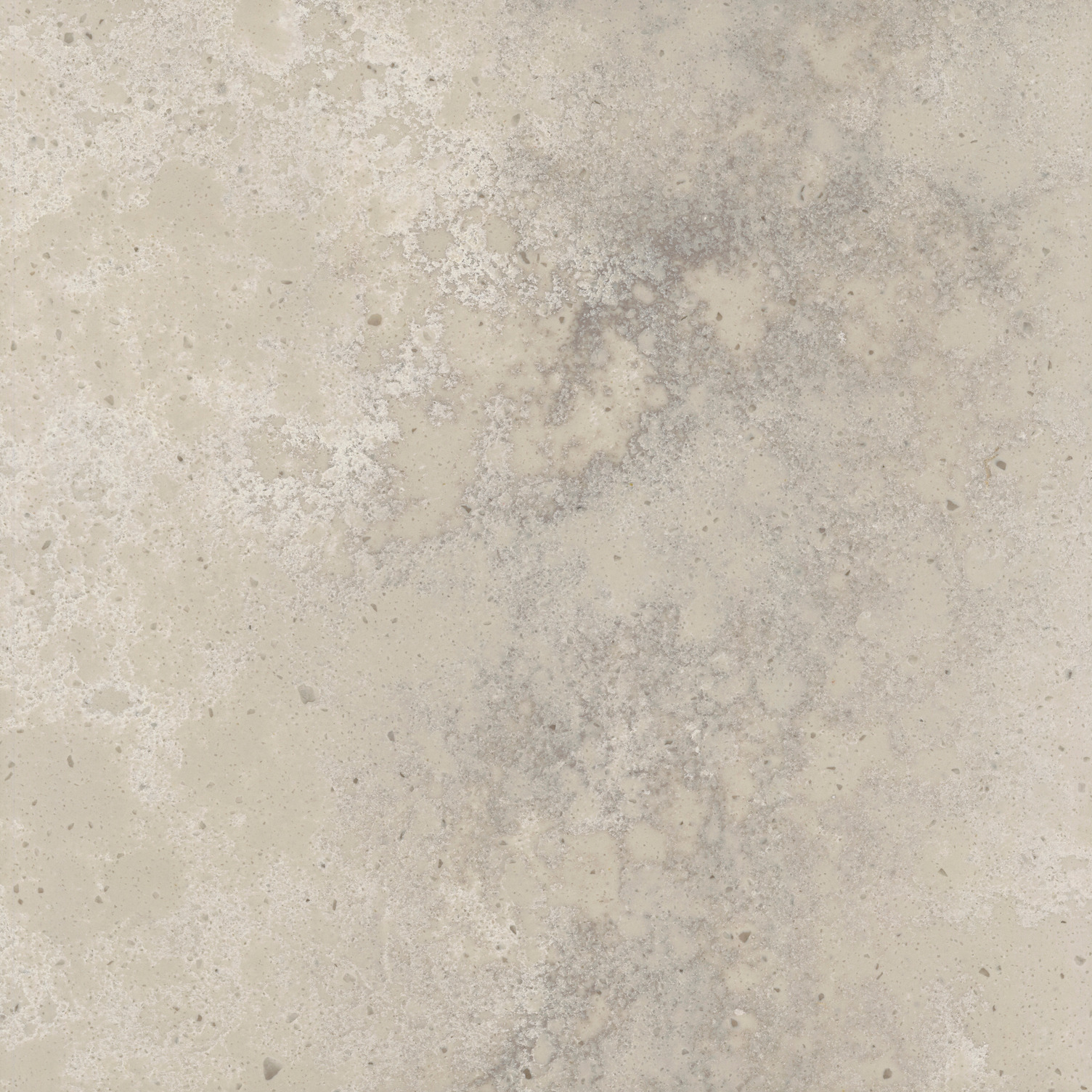Neutral Cement - Willis